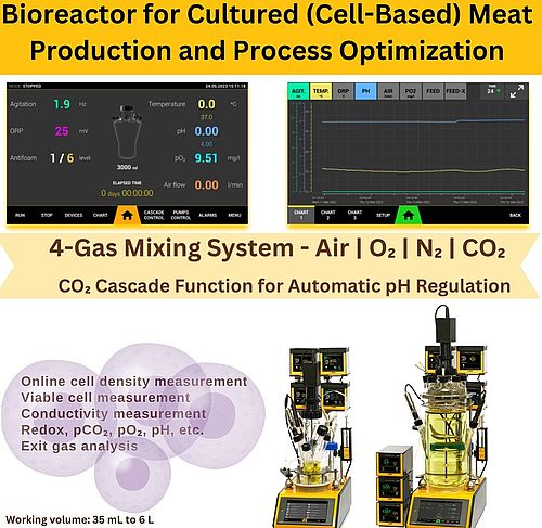 Bioreactor for Cultured (Cell-Based) Meat Production and Process ...