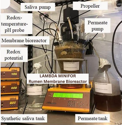 LAMBDA MINIFOR Rumen Membrane Bioreactor (Rumen-MBR) for Continuous VFA ...