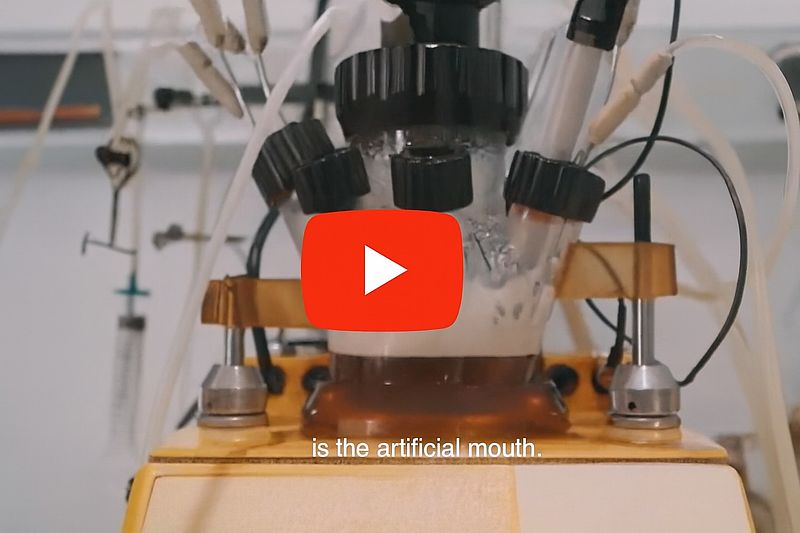 Dynamic Oral Biofilm Model Using the LAMBDA Minifor Bioreactor | LAMBDA