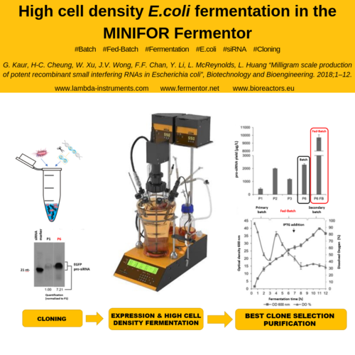 High cell density Fed Batch fermentation of E.coli in MINIFOR fermenter ...