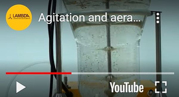Maximizing Itaconic Acid Production through Fermentation of Aspergillus terreus in the LAMBDA ...